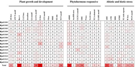 Analysis Of Cis Regulatory Elements In The Promoter Regions Of Mustard