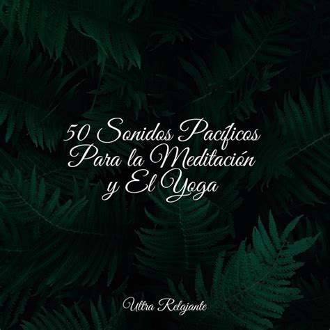 50 Sonidos Pacíficos Para La Meditación Y El Yoga Album By Relajación