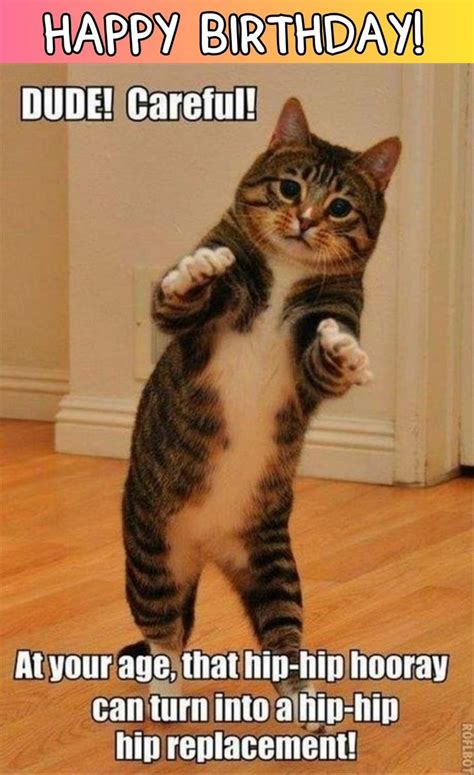 Pin By Tara Schneider On Cats Cats Cats Birthday Wishes Funny Cat