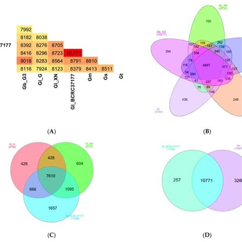 Pairwise Proteome Comparisons And Venn Diagrams Of Ortholog Clusters Download Scientific