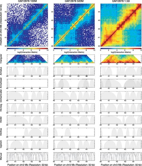 Topologically Associating Domains Tad Detection Using Seven Tools At Download Scientific