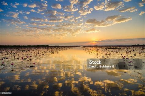 환상적인 풍경 호수 위에 여러 가지 빛깔의 하늘 장엄한 일출 배경으로 사용할 수 있습니다 자연에서 색상 자연에서 아름 다운 많은 색상 변화와 시리즈 물 속에서 하늘의 반사
