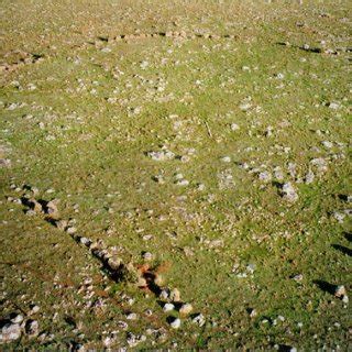 Pdf Wurdi Youang An Australian Aboriginal Stone Arrangement With