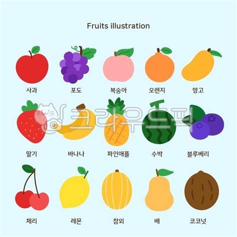 과일아이콘 과일일러스트 과일디자인 사과아이콘 포도아이콘 사진이미지일러스트캘리그라피 Happylulu작가