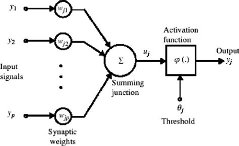 Nonlinear Model Of A Neuron Sözen Et Al 2004 Download Scientific