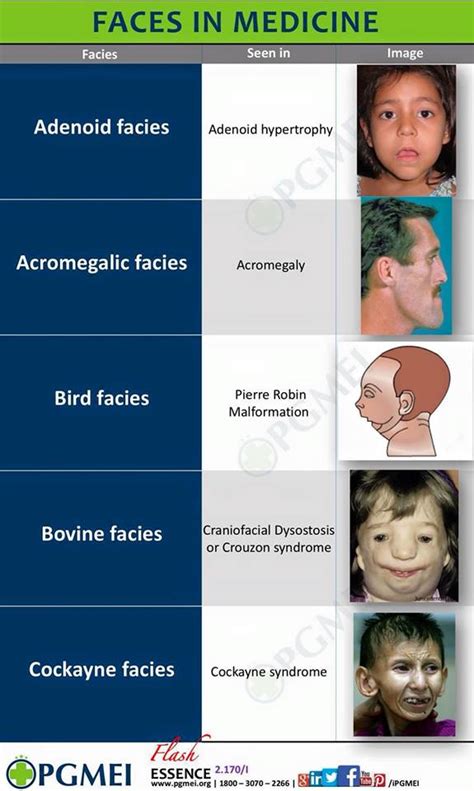 Atlas Of Medical Facies In 6 Images Faculty Of Medicine