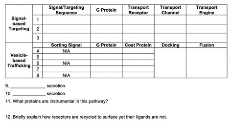 Solved Protein Sorting Protein Targeting And Translocation Is