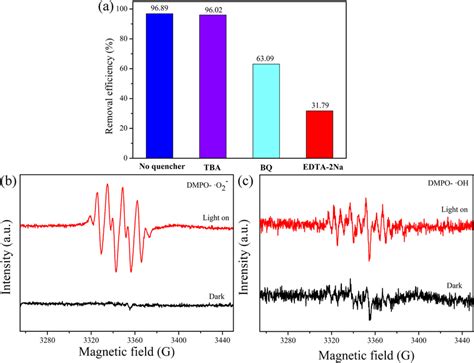 A Free Radical Capture Experiments Of Fis10 Biobr And Esr Spectra Under Download Scientific