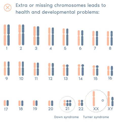 Pgt A Preimplantation Genetic Testing For Aneuploidies