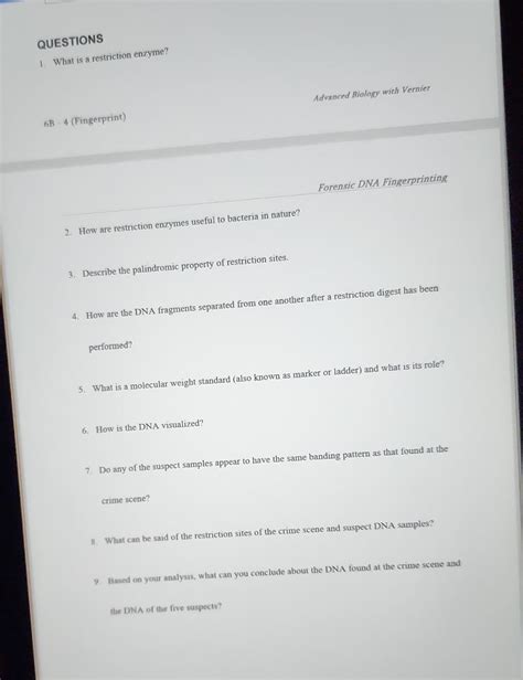 Solved 2 How Are Restriction Enzymes Useful To Bacteria In
