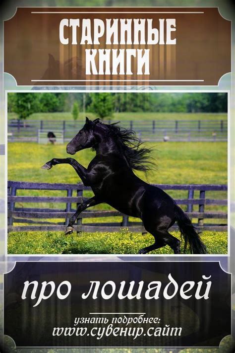 Старинные книги про лошадей для подарка l интернет магазин в Москве # ...