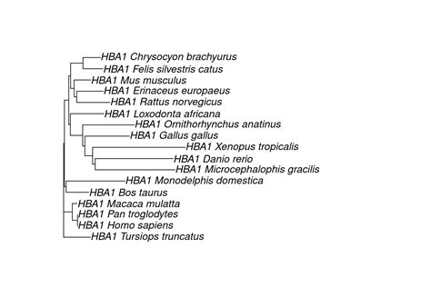 Introduction To Computational Evolutionary Biology 3 Distance Based