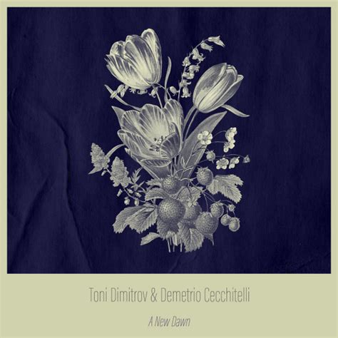 Toni Dimitrov And Demetrio Cecchitelli A New Dawn Releases Discogs