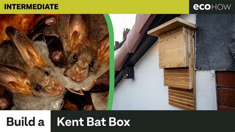 How To Make A Bat Box Youtube