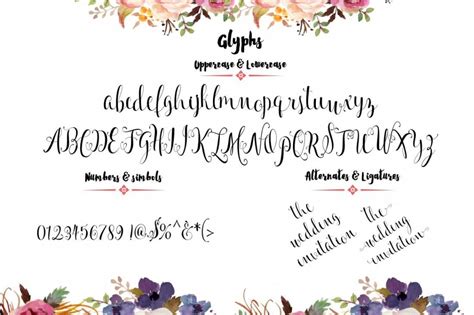 12 Gorgeous Modern Script Typefaces 12