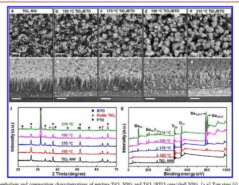 Figure 3 From Ferroelectric Polarization Enhanced Photoelectrochemical Water Splitting In Tio2