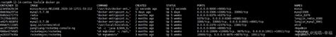docker查看容器的初始启动命令参数的常见几种方式 查看docker容器启动参数 csdn博客
