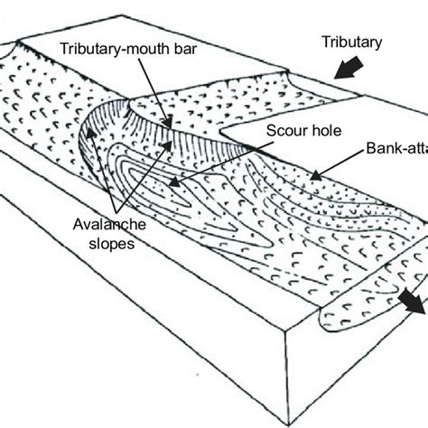 3 Bed Morphology At Asymmetrical Confluences Modified From Bristow Et Download Scientific