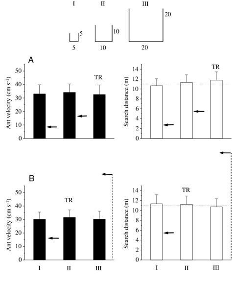 The Effects Of Variation In Channel Width A Training In The Cm Download Scientific