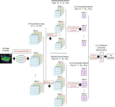 the multi instance multi scale cnn on a 3d input image for clarity