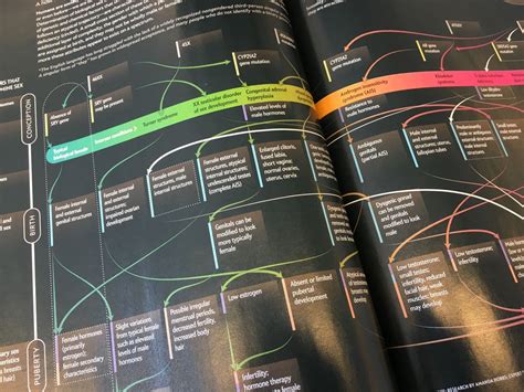 Visualizing Sex As A Spectrum Scientific American