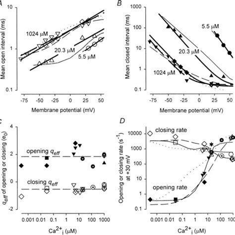 Effects Of Ca²⁺i And Voltage On The Time Constants And Areas Of The Download Scientific Diagram