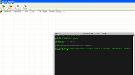 Wintftp Server Pro 31 Directory Traversal Windows Remote Exploit