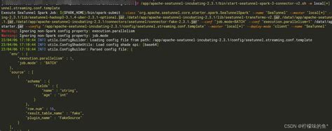 Seatunnel实战：hivetostarrocksseatunnel Hive Csdn博客