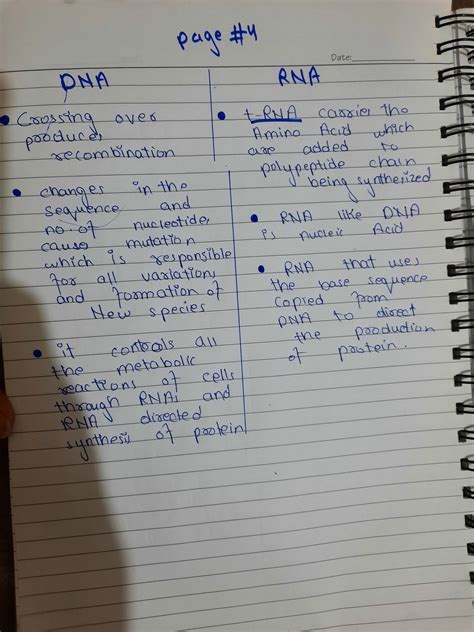 Dna And Rna Compare And Contrast