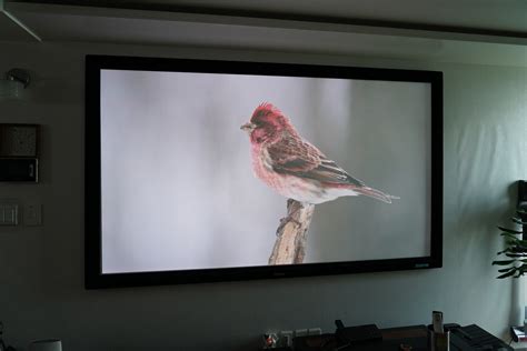 Lg 큐브 Hu710pb 리뷰 세상에서 가장 작은 4k 레이저 프로젝터 Dvdprime