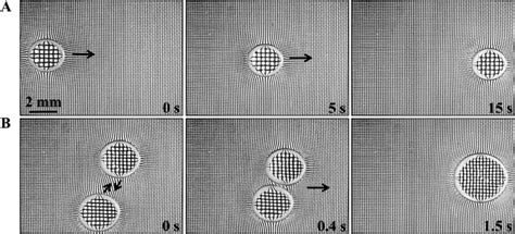 Plan Views Of The Motion Of A Water Droplet Moving On An Inclined