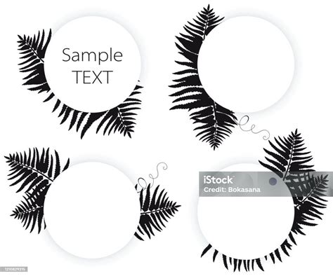 실루엣 화석 숲 고사리 잎 흰색 배경에 고립 된 검은 색으로 둥근 프레임의 벡터 세트 0명에 대한 스톡 벡터 아트 및 기타 이미지 0명 개체 그룹 검은색 Istock
