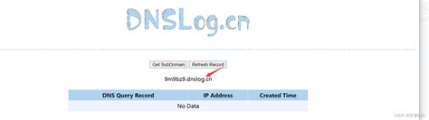 Mysql Dns注入mysql访问dnslog Csdn博客