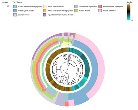 二、差异基因富集gokegg超全可视化!python Kegg可视化 Csdn Csdn博客 二、差异基因富集gokegg超全可视化!python Kegg可视化 Csdn Csdn博客