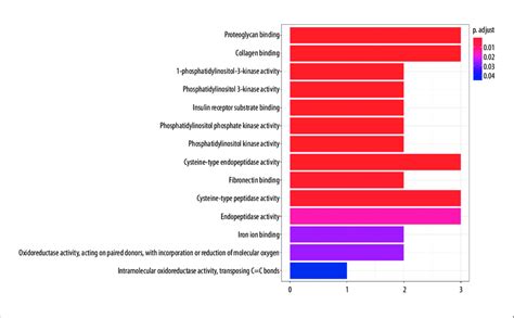 Go Function Enrichment Analysis Download Scientific Diagram