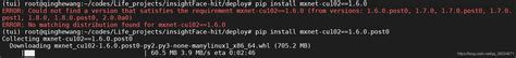 pip install mxnet和cuda的版本指定问题：（配环境 treb1en