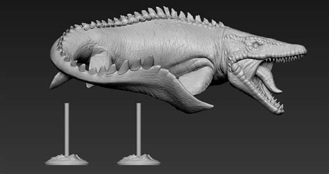 Mosasaurus 3d Model 3d Printable Cgtrader