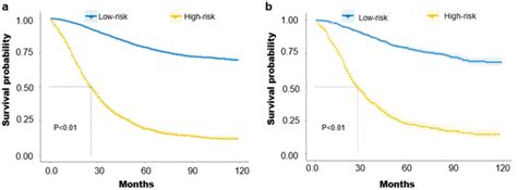 Survival Analysis According To The Risk Stratification A Download Scientific Diagram