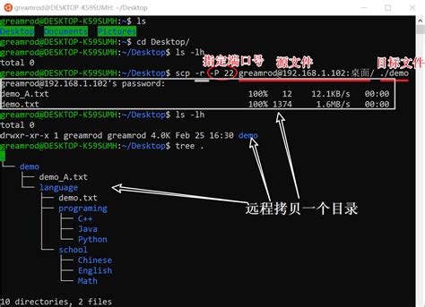 【终端使用】scp命令，远程拷贝文件 Greamrod 博客园