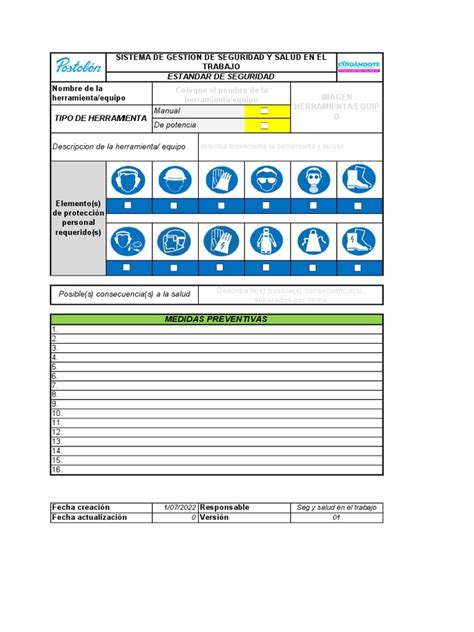 Formato Estandar De Seguridad Pdf