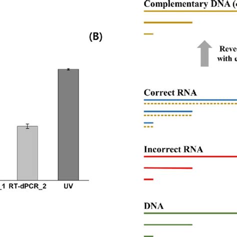 Comparison Of Different Methods For The Quantification Of Rna A