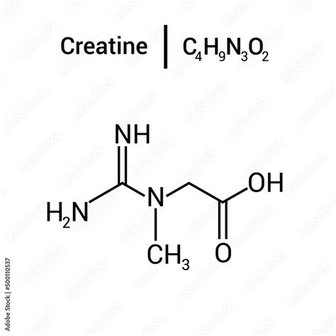 Chemical Structure Of Creatine C4h9n3o2 Stock Vector Adobe Stock