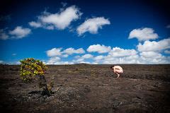 Landscape Nudes Color AFeinberg Photography