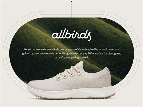 Allbirds Aards Honorable Mention