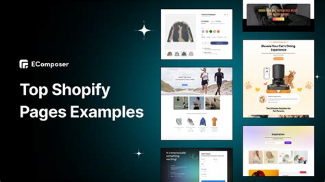 Ultimate Guide To Add Custom Liquid Section In Shopify Ecomposer