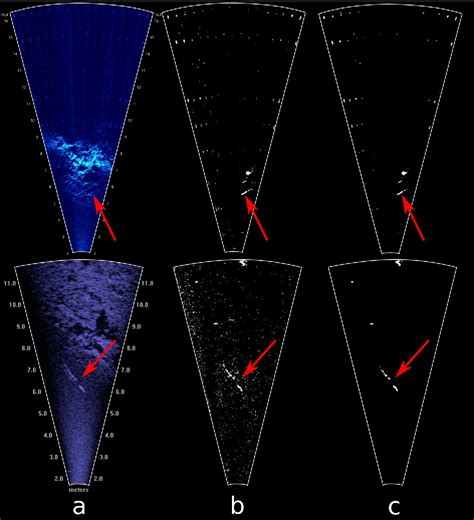 Figure From A Deep Neural Network For Multi Species Fish Detection Using Multiple Acoustic