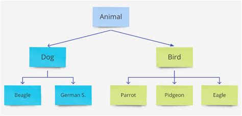 how to build hierarchical classification for image recognition towards ai