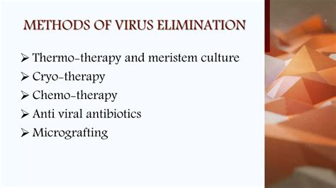 Virus Indexing Methods Pptx