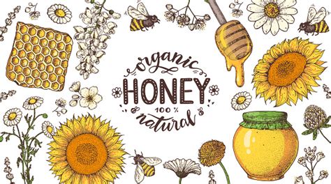 꿀 손으로 그린 벡터 일러스트 건강한 음식 일러스트레이션 레터링 프리미엄 품질 꿀 100 유기농 벌집 꽃 꿀 항아리 꿀에 대한 스톡 벡터 아트 및 기타 이미지 Istock