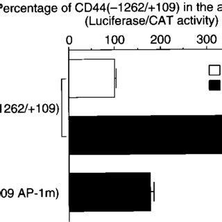 The AP Binding Motif At Position To Is Important For Download Scientific Diagram